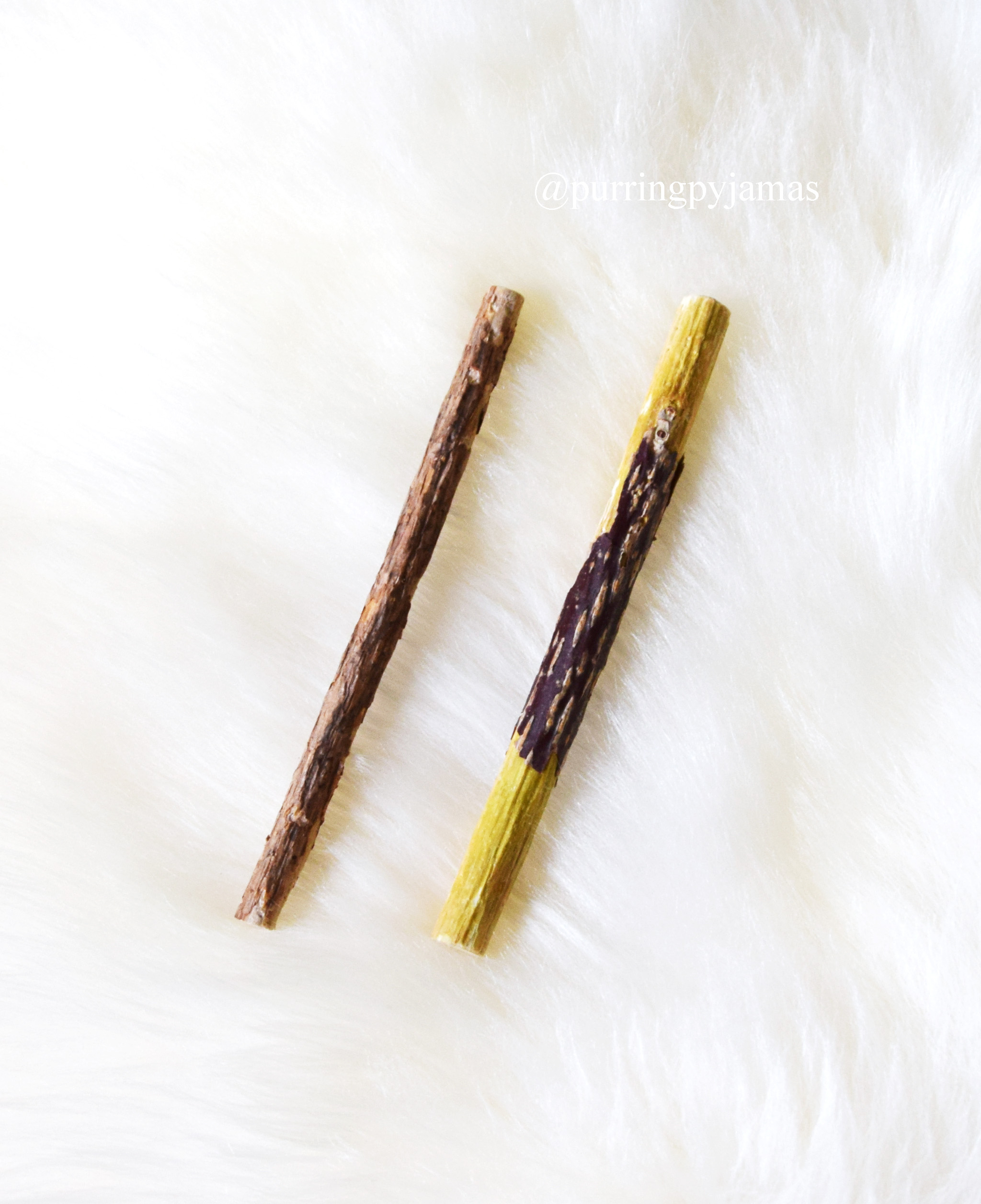 Review: CATNIP SILVER VINE STICKS – Worth It Or Not? | Purring Pyjamas